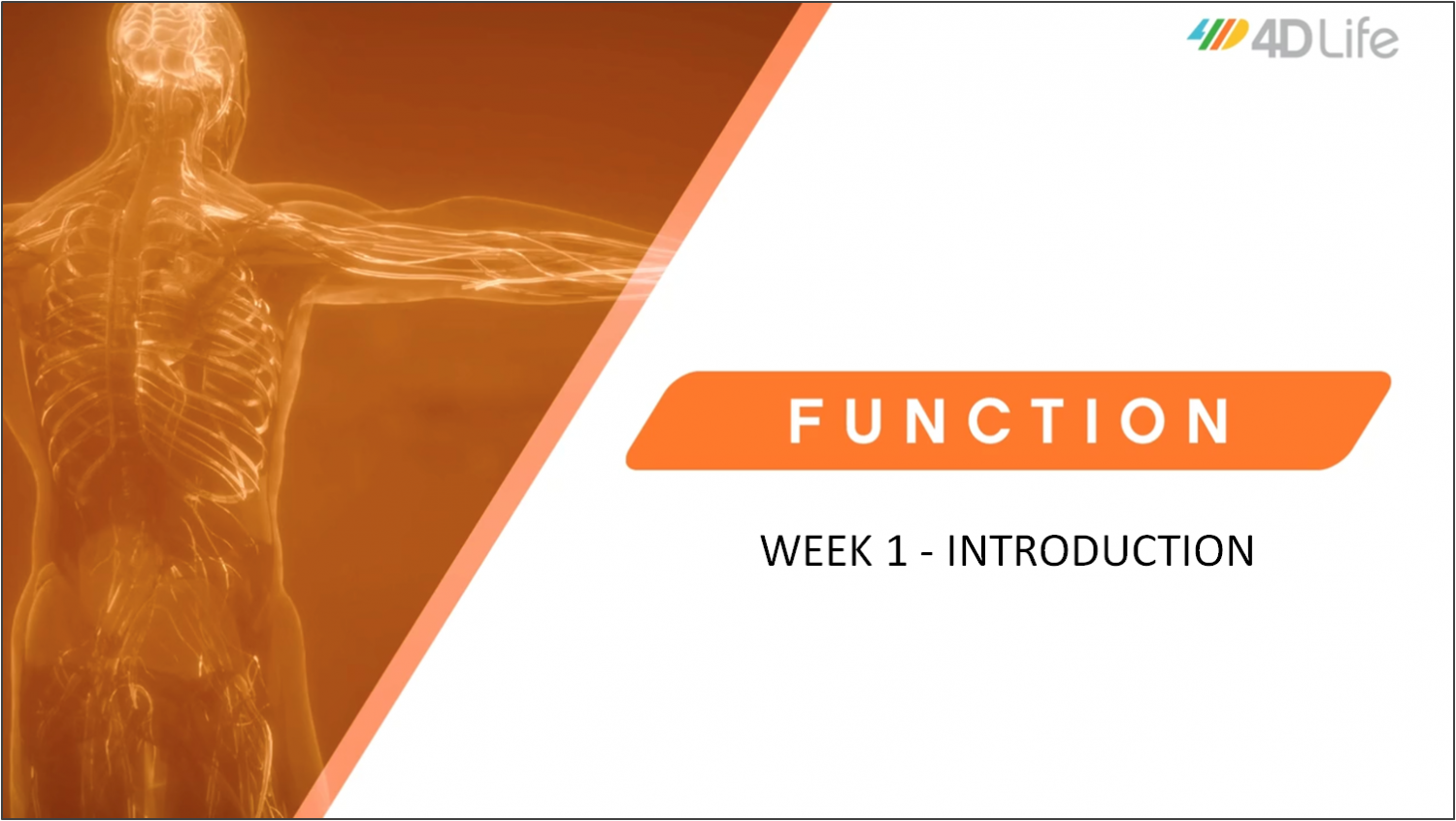 The Programme – 4D Life